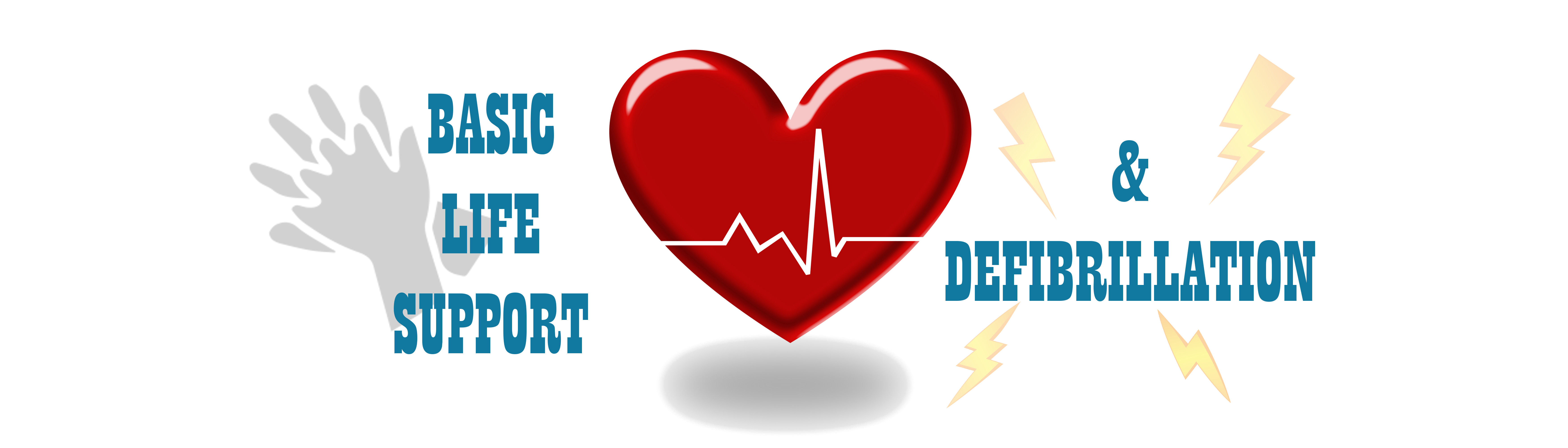 BLSD & PBLSD • Salvamento Academy